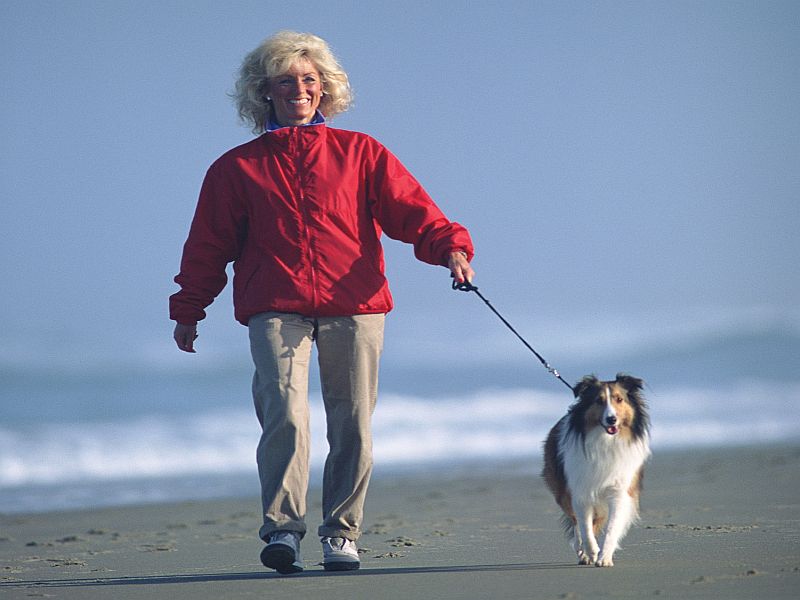 Dog Walking A Treat For Pet And Owner Alike Senior Symptoms Dog Walking A Treat For Pet And Owner Alike Senior Symptoms
